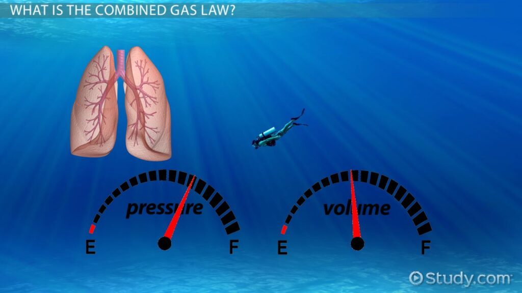 12. Gas laws Questions and Answers - EcoleBooks