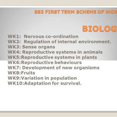 SS3 SCHEME OF WORK AND NOTES - EcoleBooks