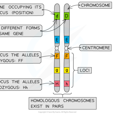 Biology A Level(Form Six) - EcoleBooks